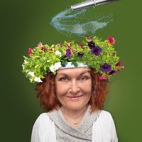 BVD Kartenservice – Tickets für Konzerte, Bamberger Symphoniker und ...